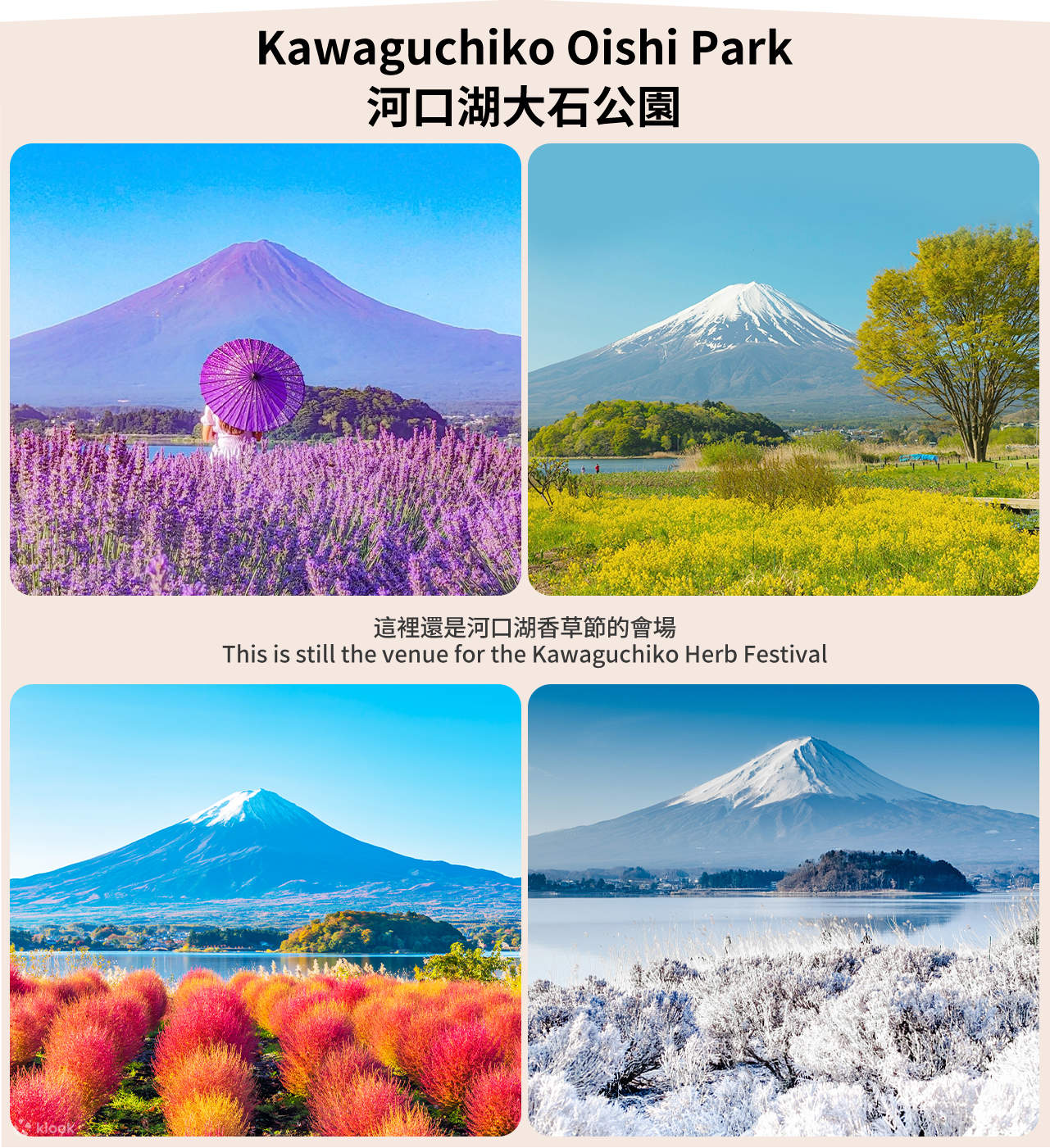 [Mt. Fuji Twin Lakes Experience Tour] Hirano Beach & Yamanakako Stroll ...